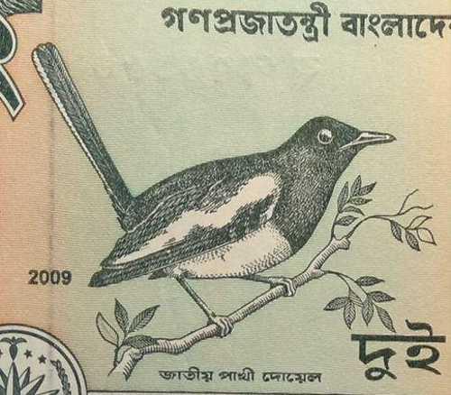 Бангладеш - банкноты