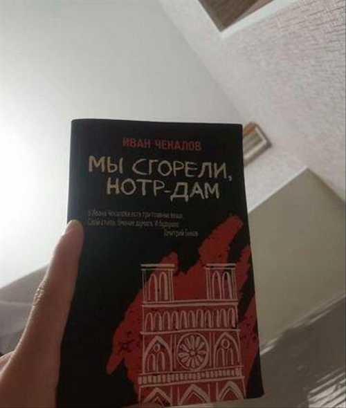 Книга: Иван Чекалов- Мы сгорели в Нотр-дам