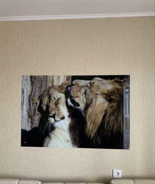 Стеклянная Картина на стекле львы лев
