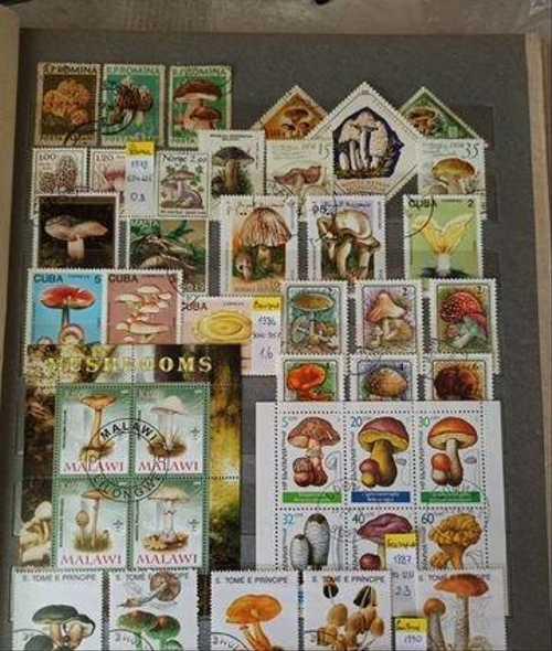 Коллекция почтовых марок по теме "Флора"