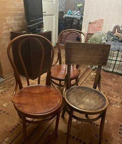 Венские стулья антикварные