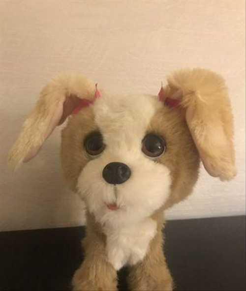 Собачка Hasbro