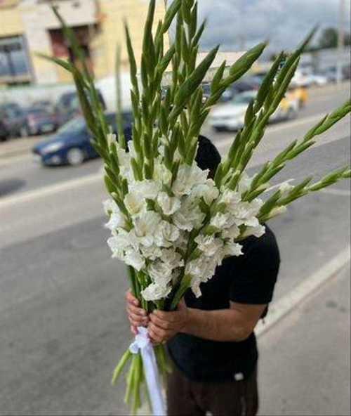 Гладиолусы