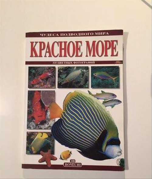 Книга Красное море Андреа Гизотти 335 цв. фото