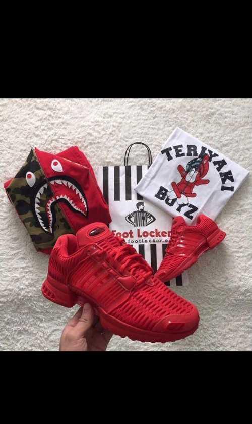 Кроссовки Adidas Climacool red