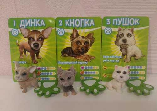 Озорные собачки