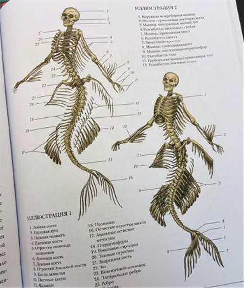 Книга Воскреситель