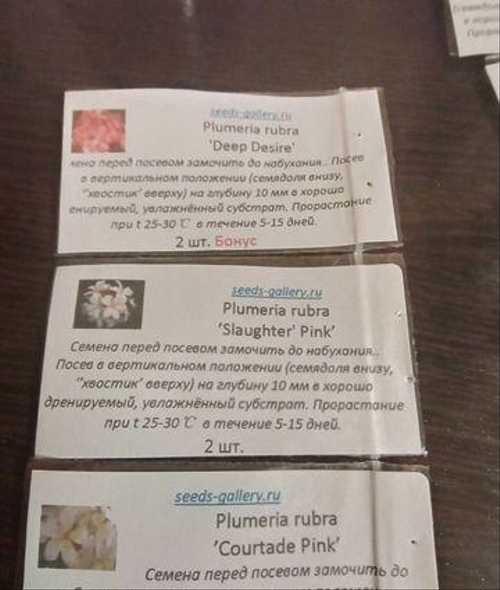 Семена баухинии и плюмерии