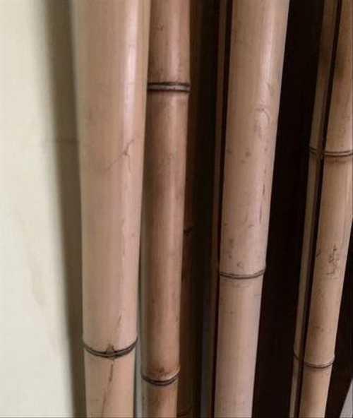 Натуральный бамбук 2,5 -3 метра высота