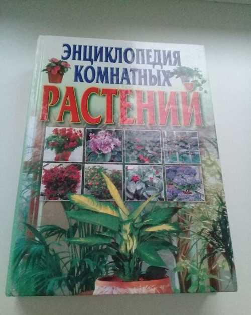 Книга Большая энциклопедия комнатных растений