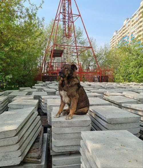 Бетонный блок плиты укрепления откосов П-2