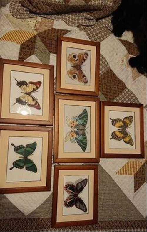 Картины с вышитыми бабочками