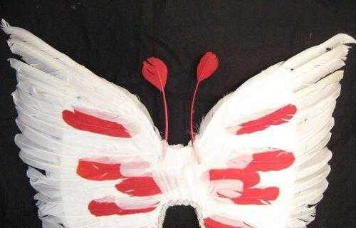 Крылья перьевые, белые с красными пятнами