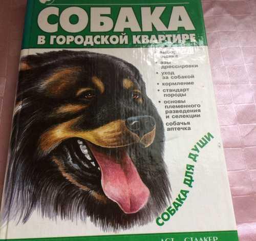 Книга для подарка «Собака в городской квартире»