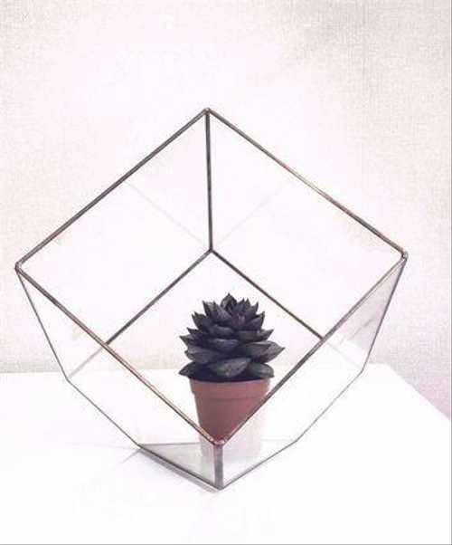 Флорариум, моссариум Куб (стеклянная форма)