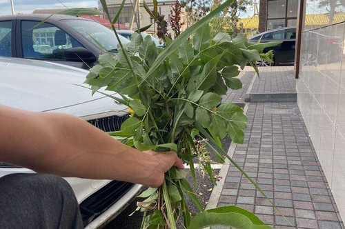 Продам букет лучший в своём городе