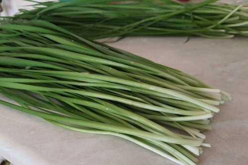 Лук чеснок джусай ёмди chives