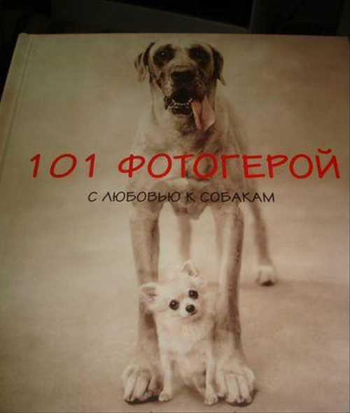 101 фотогерой-с любовью к собакам