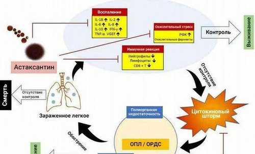 Готовые посты с фото