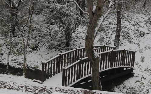 Мостик деревянный декоративный