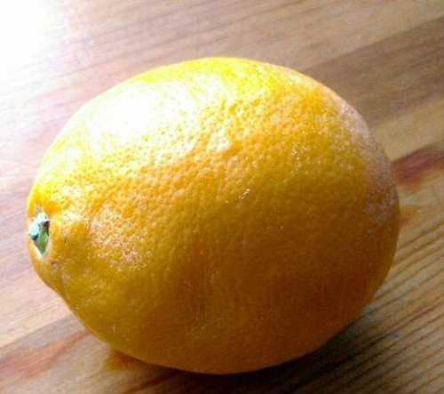 Лимон узбекский, грейпфрут