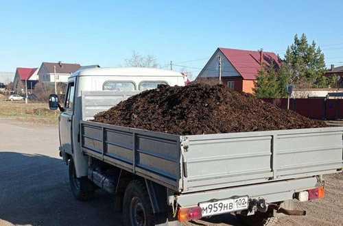 Перегной Навоз