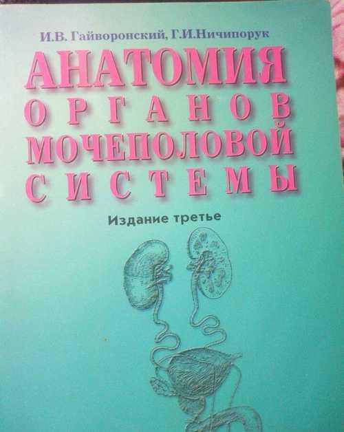 Гайворонский анатомия пищеварительной