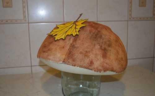 Шляпа для костюма боровика