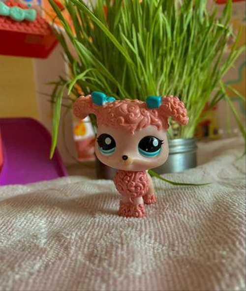 Littlest Pet Shop