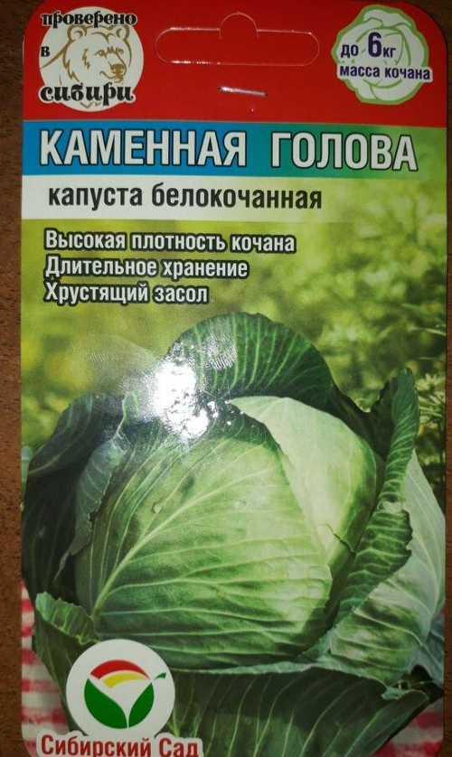 Каменная голова капуста описание фото отзывы Семена капусты "Каменная голова" Festima.Ru - частные объявления