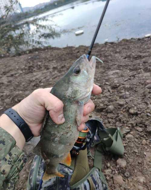 Спиннинг Maximus Streetracer Rock Fish 22UL