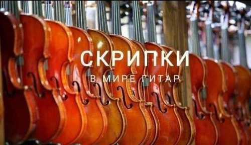 Скрипки, смычки, кейсы, канифоль в Мире Гитар