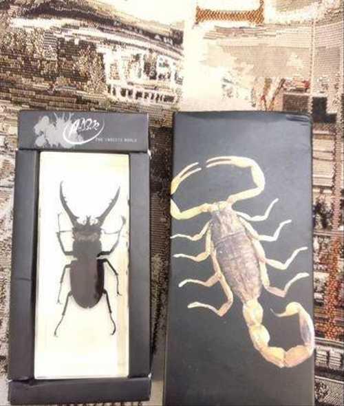 Коллекционный жук из серии "Насекомые мира"
