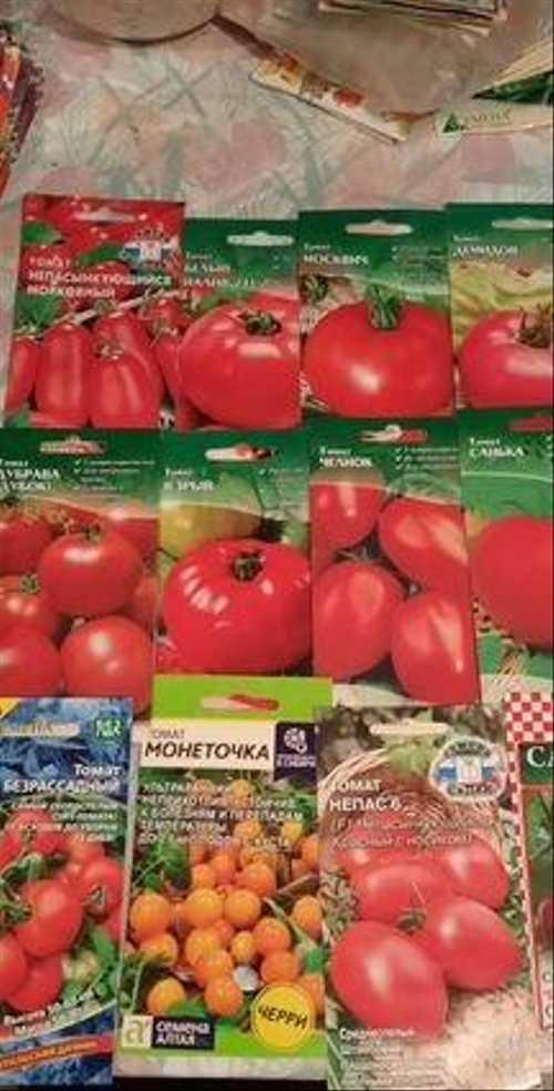 Продам рассаду томат,перец и лр
