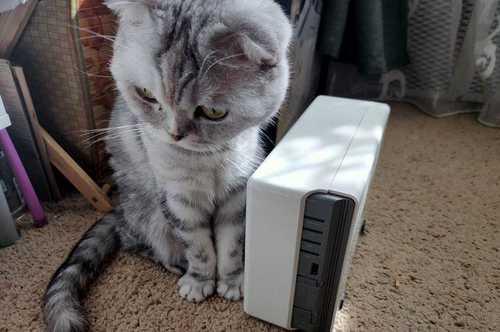 Домашний NAS Synology 211j