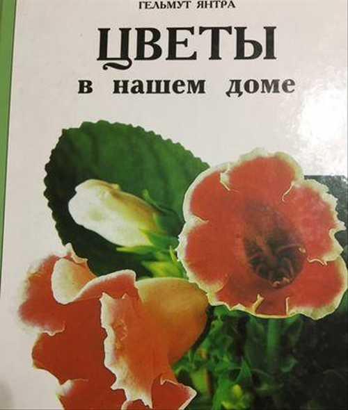 Энциклопедия комнатных растений