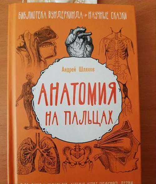 Андрей Шляхов Анатомия для детей