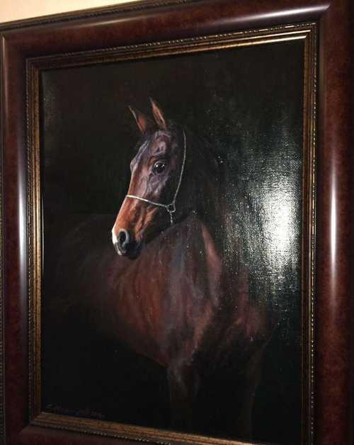 Картина маслом. Голова лошади. "Arabians" 2011