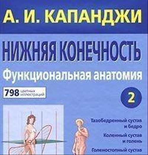 Нижняя Конечность - А. И. Капанджи