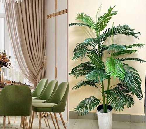 Пальма Латексная Финиковая - растение искусственно