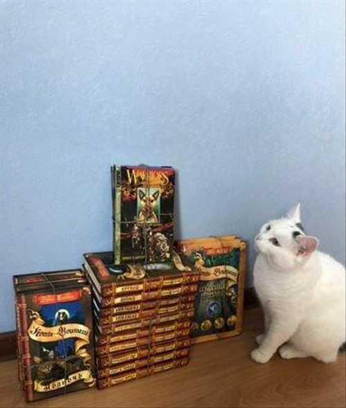 Книги коты воители