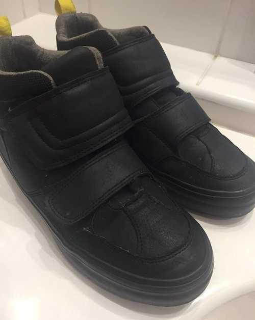 Zara +
