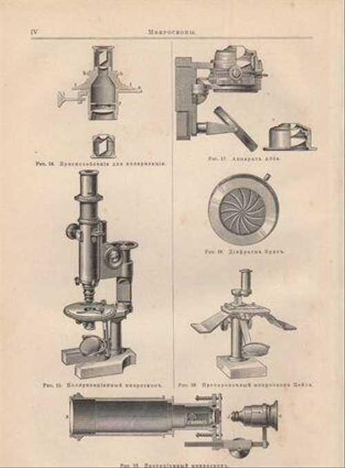 Гравюры. Литографии. 19 век. Германия. Микроскоп