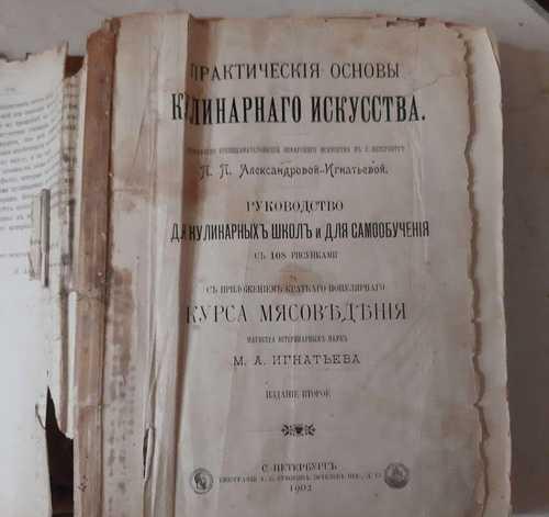 Практические основы кулинарного искусства. 1902г