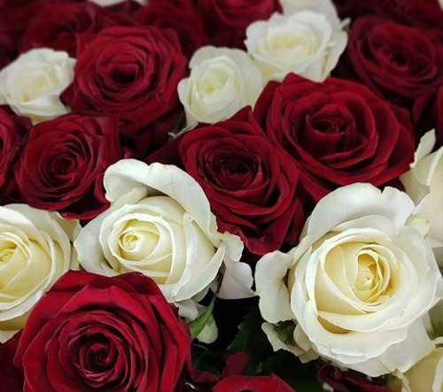 Букет роз микс доставка