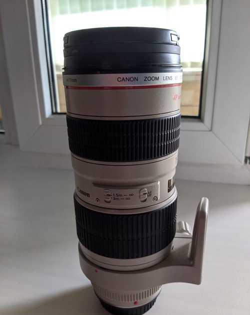 Canon 70-200 L 2.8 ultrasonic