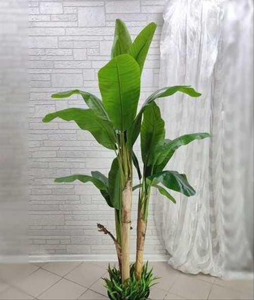 Искусственное растение банановая пальма средняя