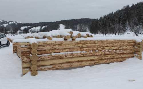 Срубы 5:5 в чашу зимней рубки
