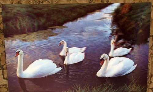 3D Стерео-картина "Лебеди на речке" 40х30 см