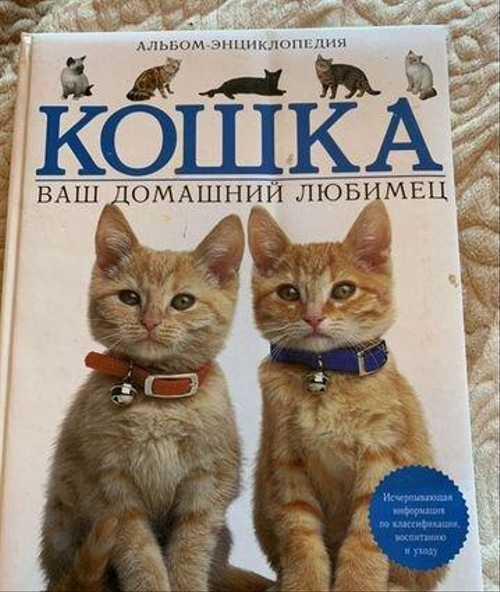 Энциклопедия Кошка ваш домашний любимец